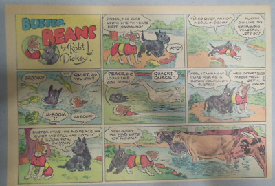 Buster Beans Dog Comic Strip ! by Robt. L Dickey ?/1936 Size: 11 x 15 ...