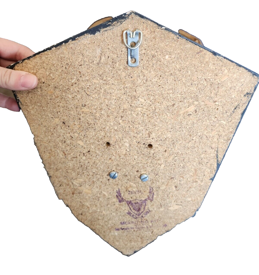 Whitetail Deer Antlers Wall Mount Taxidermy Michigan Buck Horn mounting ...