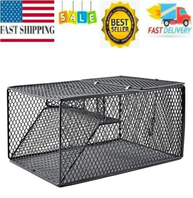 Wire Crawfish Trap Bait Cast Cage Fishing Shrimp Crawdad Crab Fish Dip ...