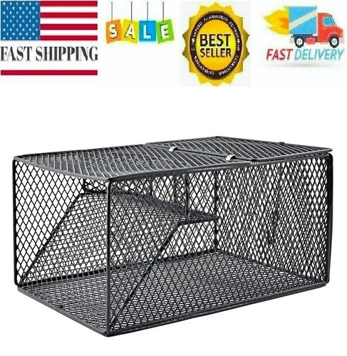 Wire Crawfish Trap Bait Cast Cage Fishing Shrimp Crawdad Crab Fish Dip ...