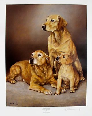 NIGEL HEMMING YELLOW LABRADOR LAB DOGS Hand Signed Ltd Edition ...