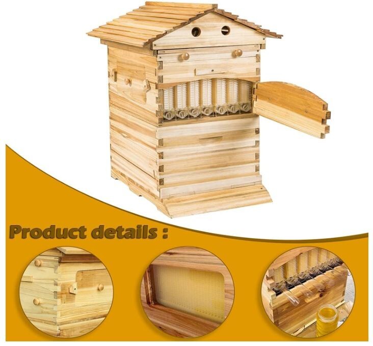 7PCS Auto FLOW Honey Hive Beehive Frames - DEPOSIT | eBay