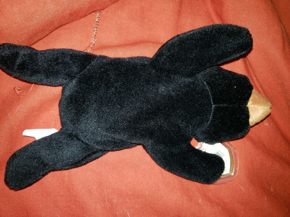 Rare BLACKIE the BEAR ty Beanie Baby. #4011 PVC Pellets | eBay Rare BLACKIE the BEAR ty Beanie Baby. #4011 PVC Pellets | eBay