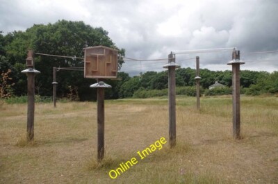 Photo 6x4 Grey Squirrel Assault Course Eastwood/TQ8488 This rodentine ...