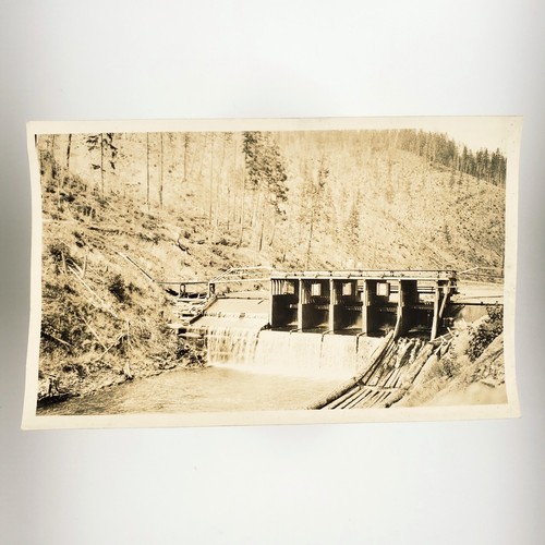 Mystery Dam Log Run Photo 1920s Antique Forest River Trees Bridge ...
