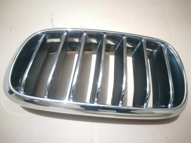 OEM BMW X5 Left Driver Side Grille 51137316061 for sale online | eBay