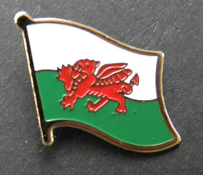 WALES WELSH SINGLE FLAG LAPEL PIN BADGE 7/8 inch | eBay