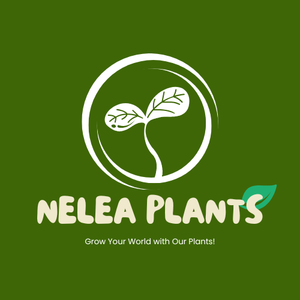 Nelea Plants | eBay Stores