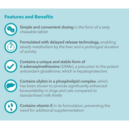 Paw Hepatoadvanced Tablets Medium / Large 30 pack | eBay