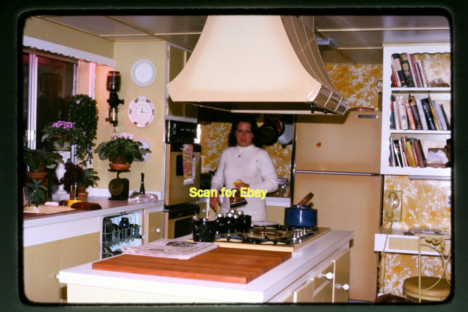 Woman in Retro Kitchen in 1976, Original Slide aa 2-17a | eBay