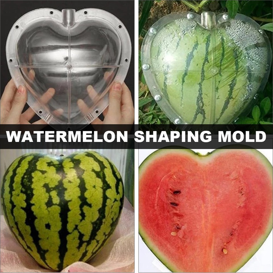 Square Watermelon Mold Creative Fruit and Vegetable Shaping Molds ...