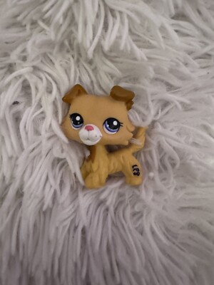 Littlest Pet Shop 2452 LPS Authentic Blind Bag Yellow Collie Dog Blue ...