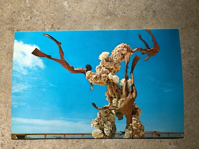 Ken Shutt Challenge of the Sea Sculpture Sea Life Park Oahu Hawaii ...