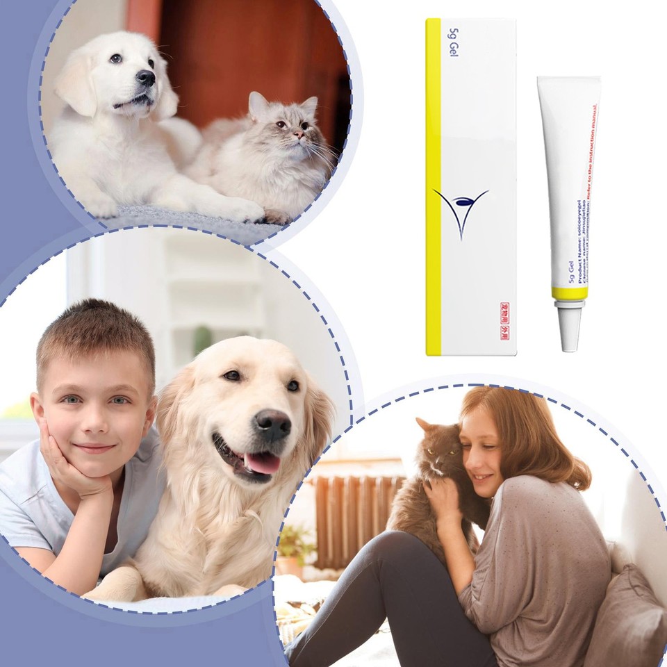 Pet Cat Dog Eye Ointment Pet Eye Ointment 5g Corneal Inflammation Eye ...