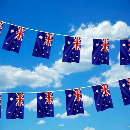 Aussie Australian Bunting Flag Banner Australia Day Party Decor 10 ...