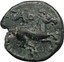 GARGARA in TROAS 350BC Apollo Horse RARE TINYAuthentic Ancient Greek ...