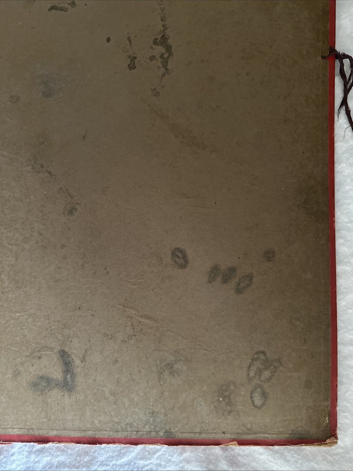 anatomical manikin mannequin portfolio skeleton muscles body Thermo ...