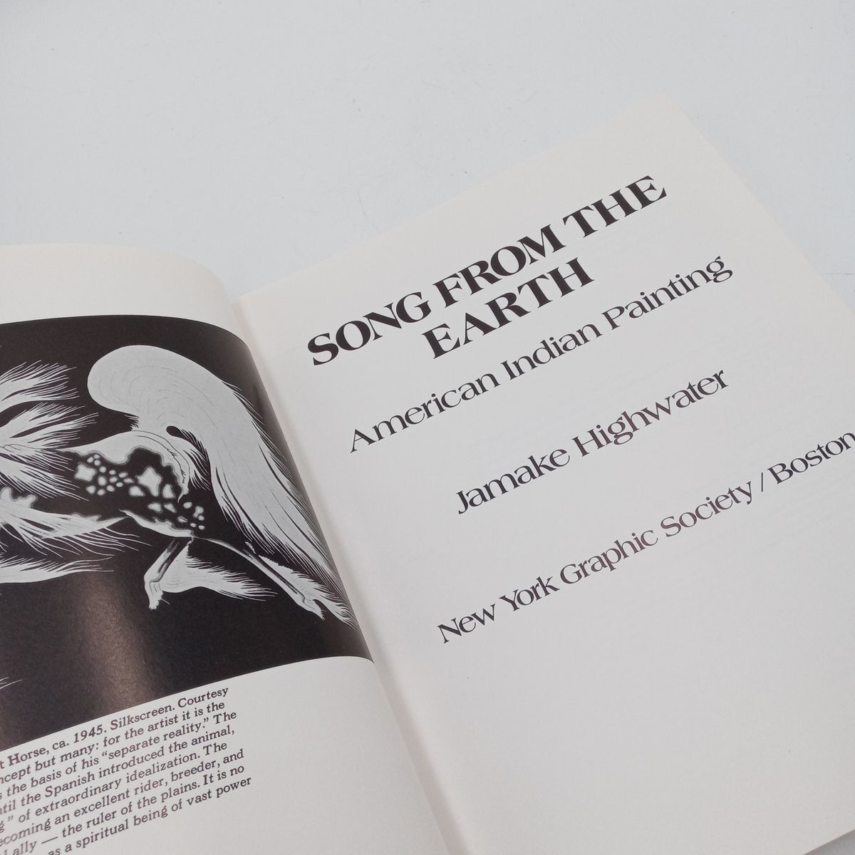 Songs From The Earth American Indian Painting Paperback Book Jamake ...