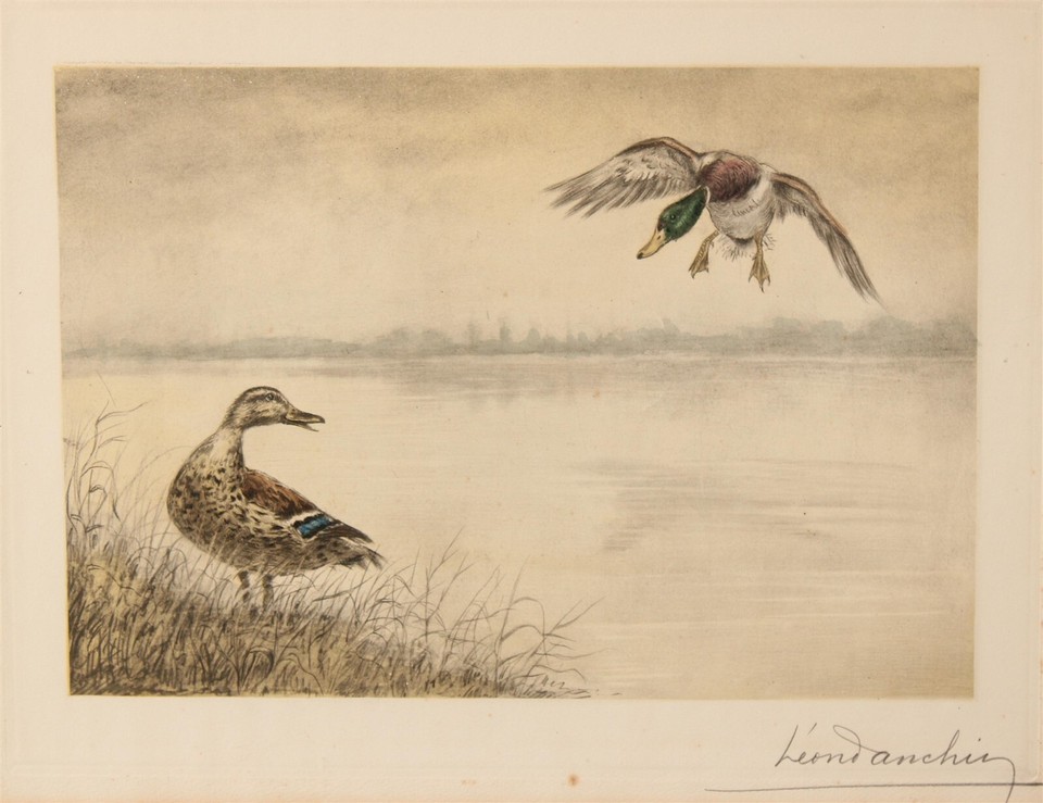 1930s Antique LEON DANCHIN, Mallard Duck Coming In Bird Hunting Etching ...