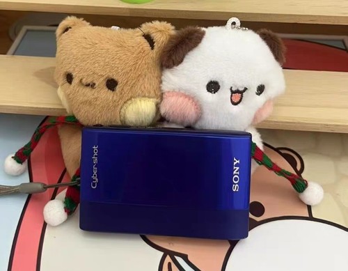 Sony Cyber Shot DSC-TX1 10.2MP 4x Optical Zoom Digital Camera - Blue | eBay