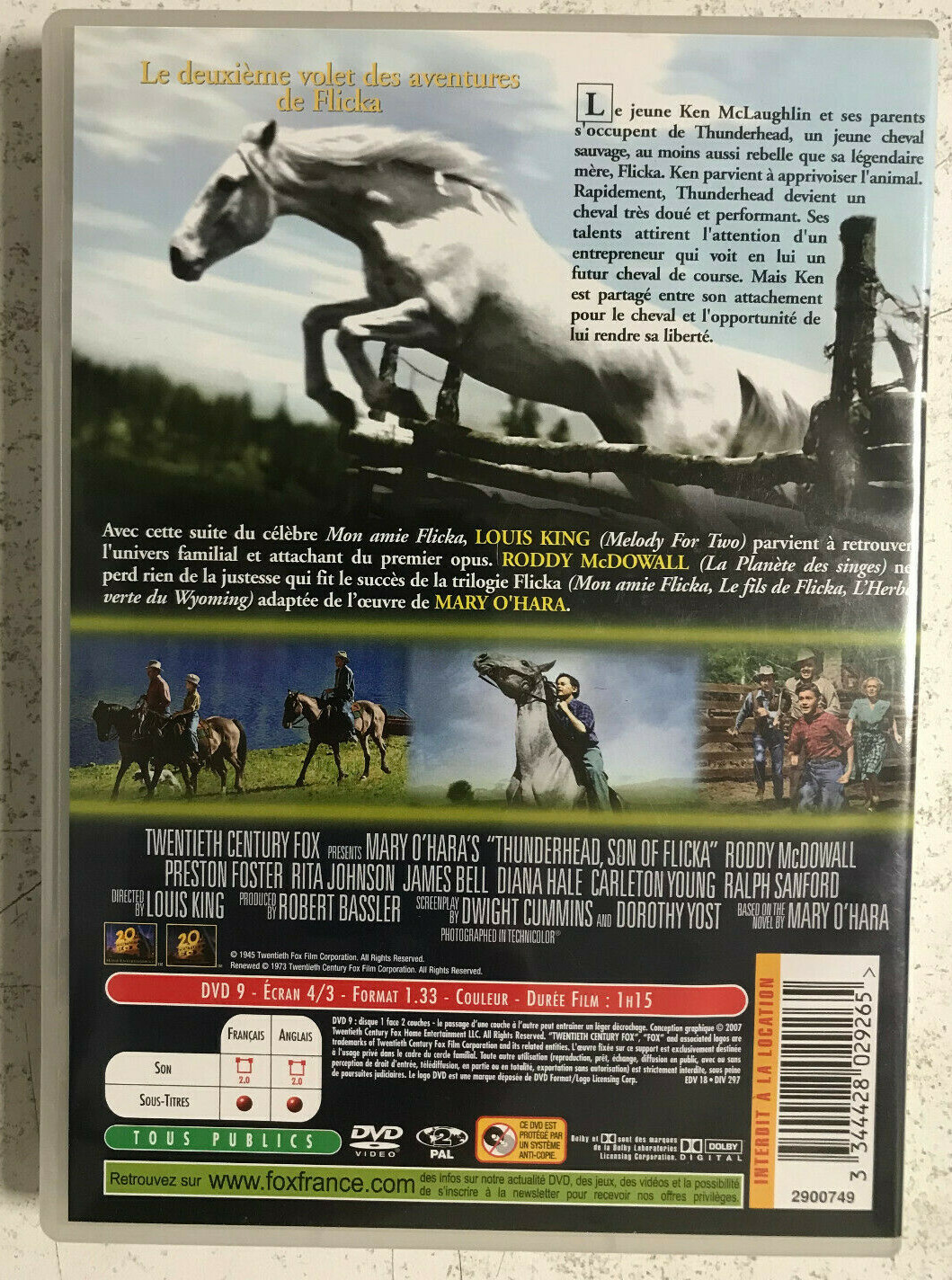 Flicka 2 Le Fils De Flicka Thunderhead DVD | eBay