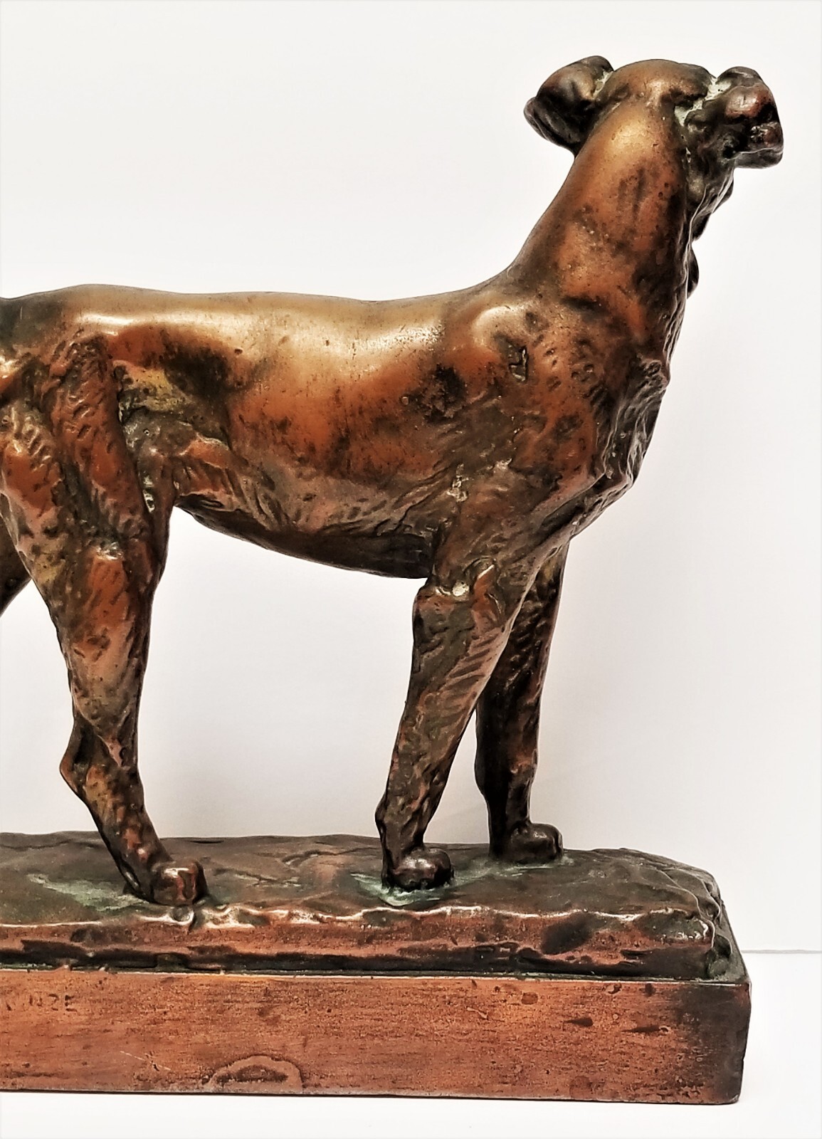 Beautiful Antique Pompeian Pointer Bronze Dog Figure Statue by Paul ...