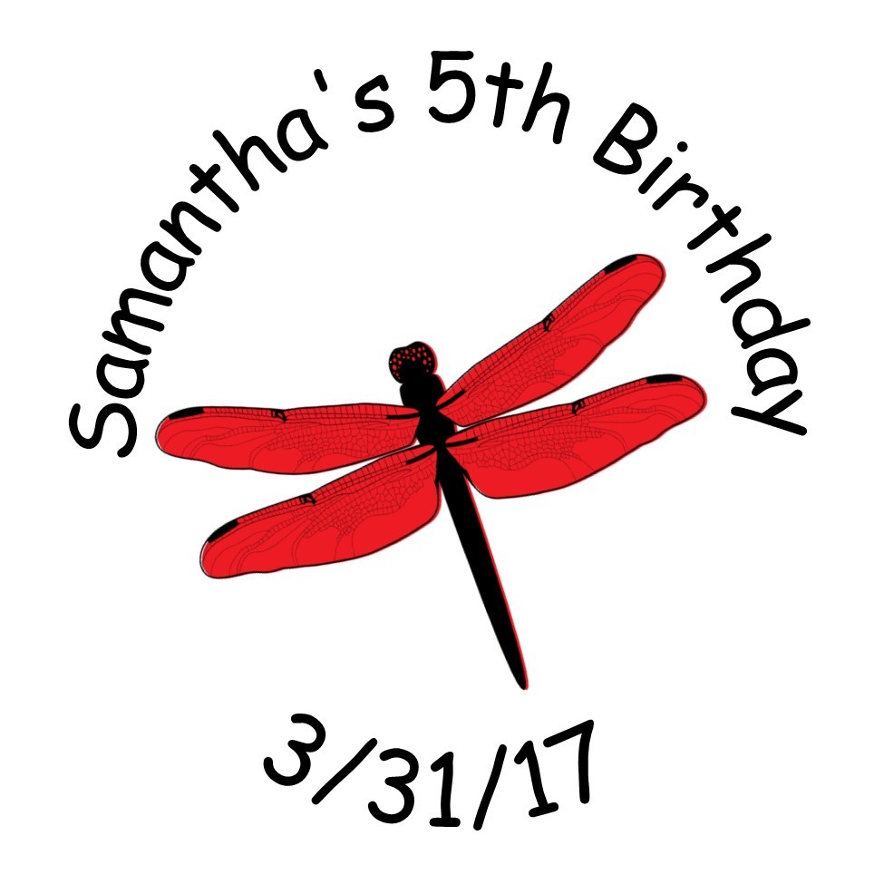 Dragonfly Birthday Invitations Cartoon Dragonfly Birthday Party Stock