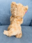 FurReal Friends Daisy Plays-With-Me Kitty by HASBRO Interactive Cat Not ...