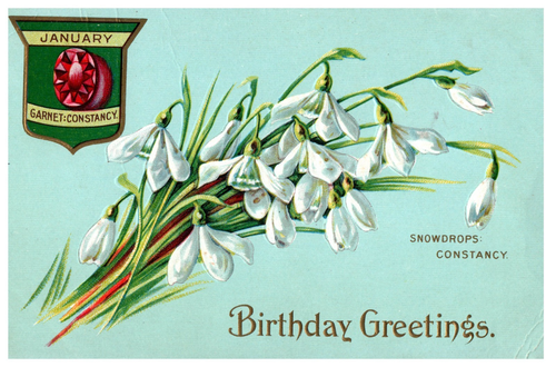 Birthdays Greetings SNOWDROPS Flowers Garnet Embossed Postcard UnPosted ...