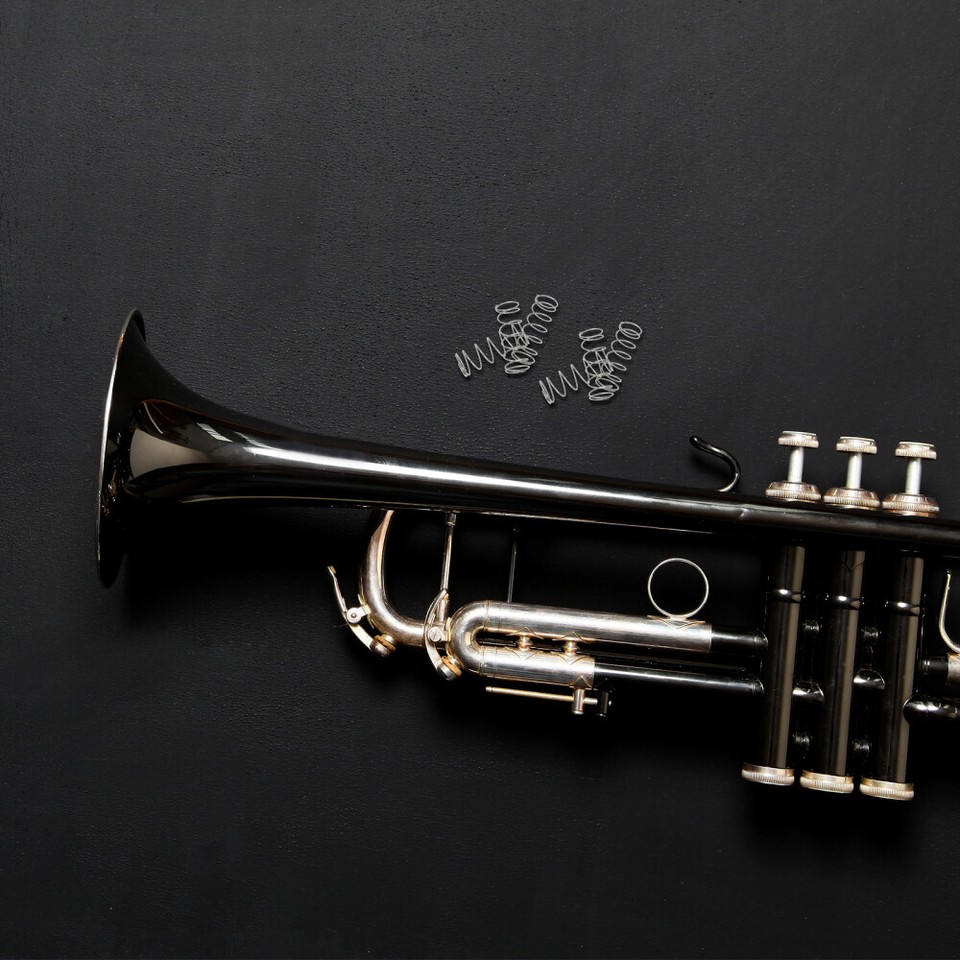 3 Pcs Trumpet Valve Springs Musical Instrument Key Supplies | eBay