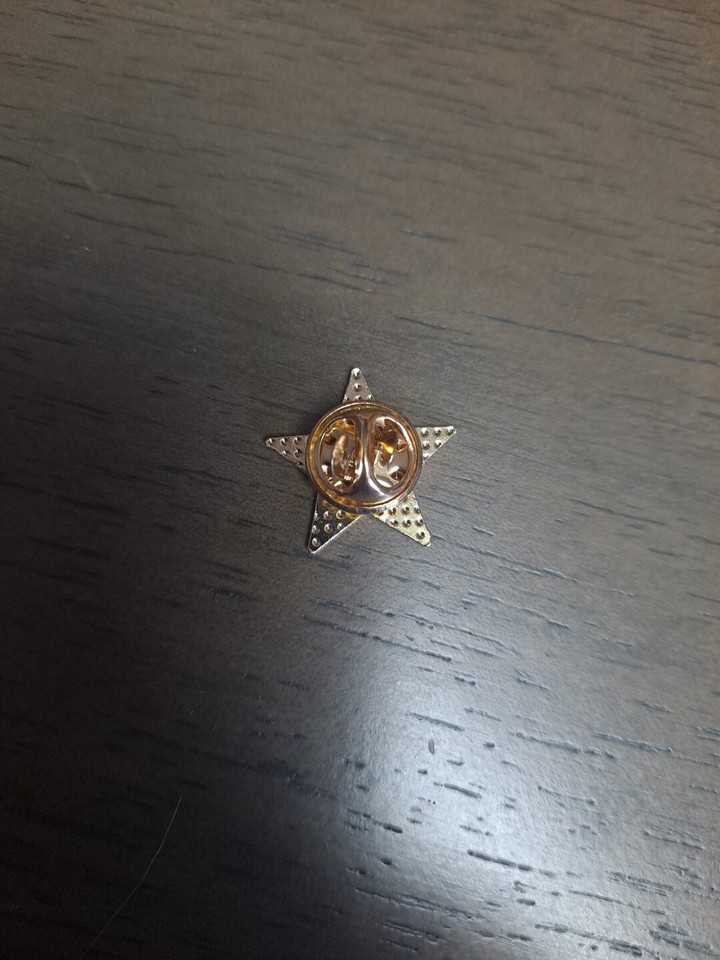 I Tried Pin Gold Star Effort Participation Funny Novelty Brooch Enamel ...