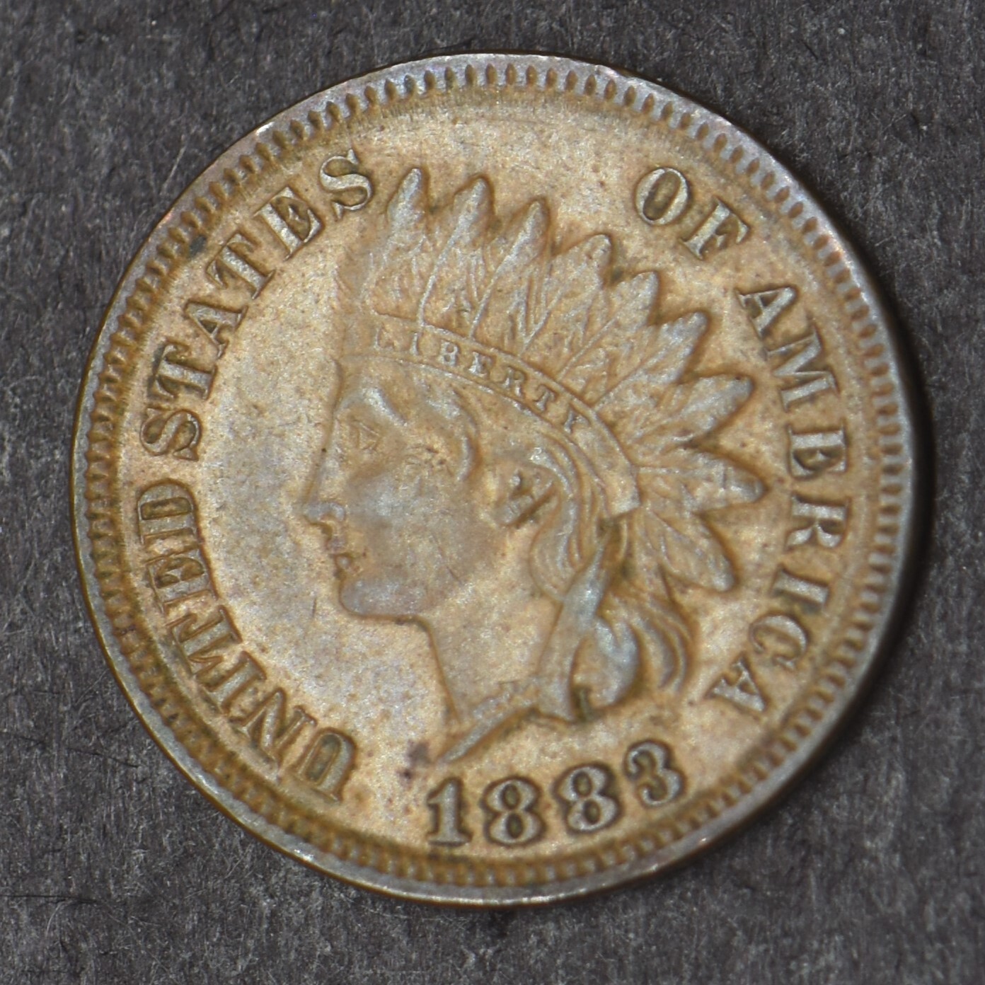 1883 Indian Head Cent - COINGIANTS - | eBay