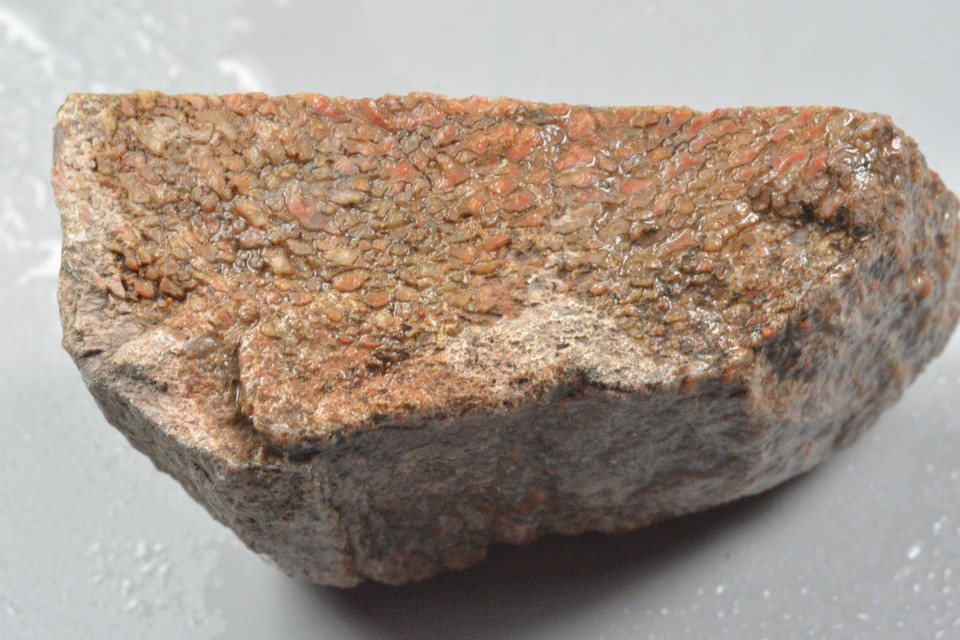 Agatized Dinosaur Bone, Utah, EX Shirley Collection, 275 grams | eBay