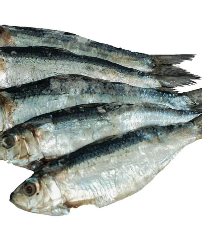 Sun Dried Spotted sardinella fish Seafood ( Hurulla ) Fish 100% High ...