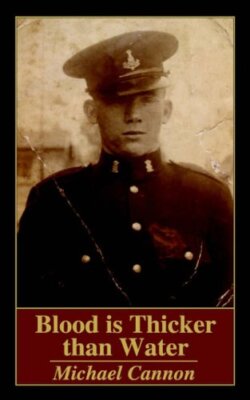 Blood Is Thicker Than Water 9781844014118| eBay