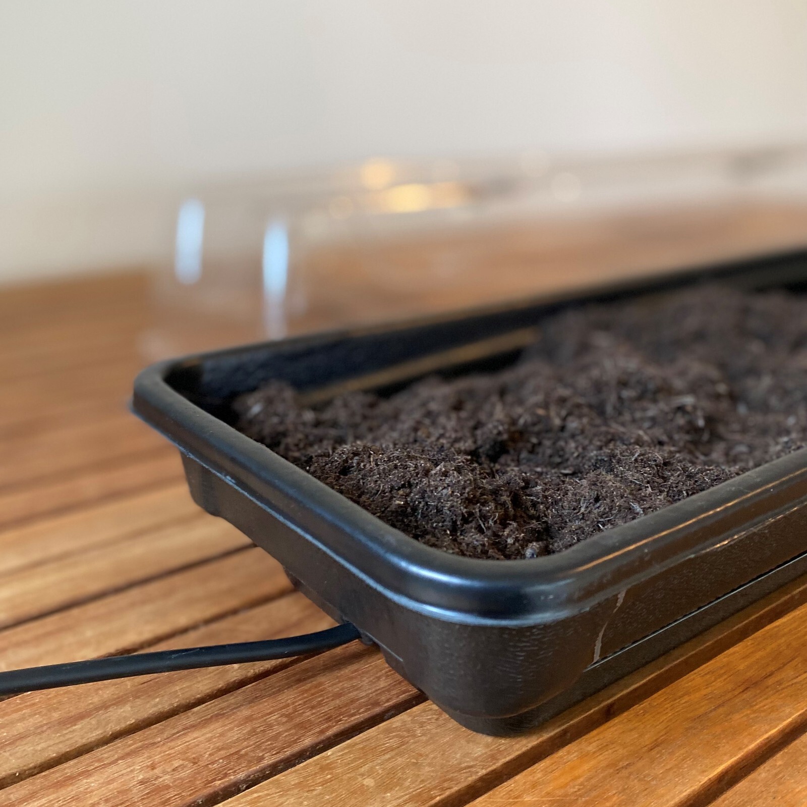 Jumbo Windowsill Heated Plant Propagator (80cm) Seed Growing Tray with UK Plug | eBay UK