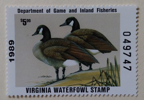 Virginia State Duck Stamp, 1989, sc#VA2, Mint, NH, OG | eBay