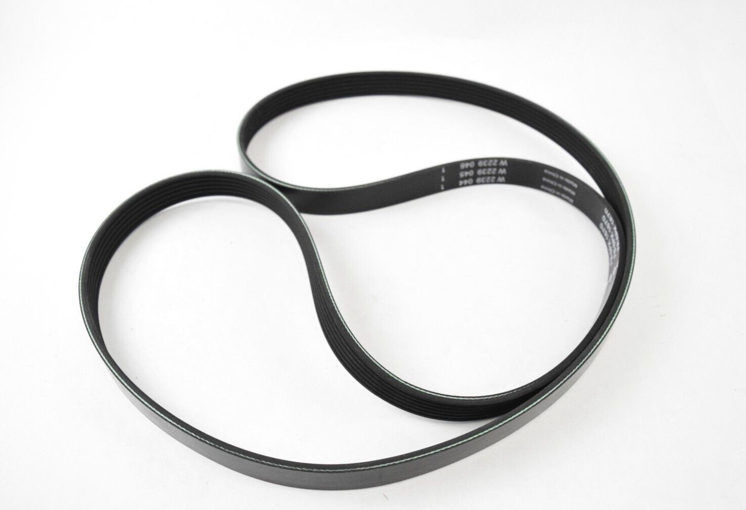 INA Serpentine Drive Belt 6PK1670 For IS300 2.0L 2021 | eBay