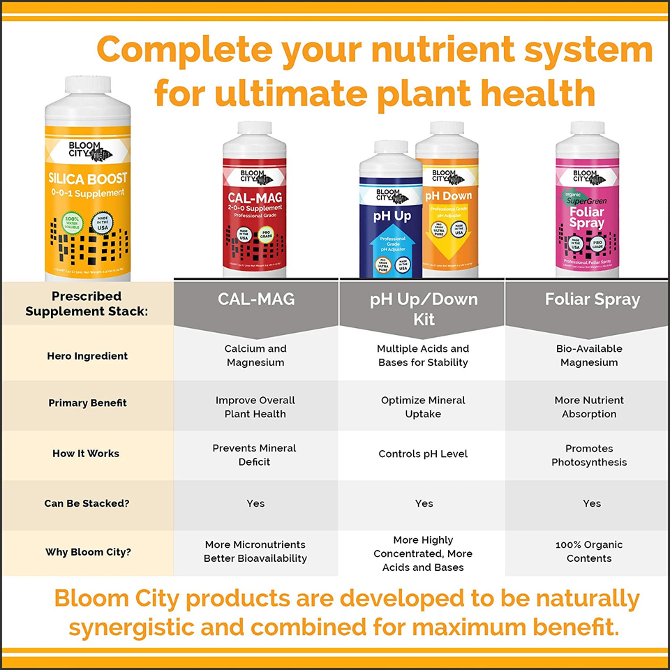 Silica Boost Liquid Fertilizer and Supplement, Concentrated, by Bloom ...