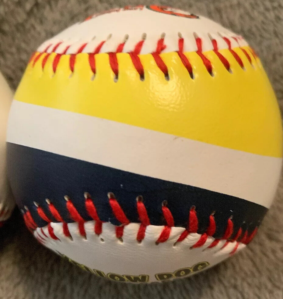 Long Island Ducks Logo 2018 Baseball ⚾️ SGA From Ball Day Atlantic ...