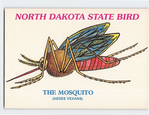 Postcard North Dakota State Bird The Mosquito Humor Card Art Print | eBay