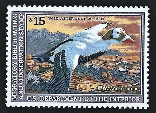 RW59 "SPECTACLED EIDER" $15.00 FEDERAL DUCK STAMP MNH | eBay
