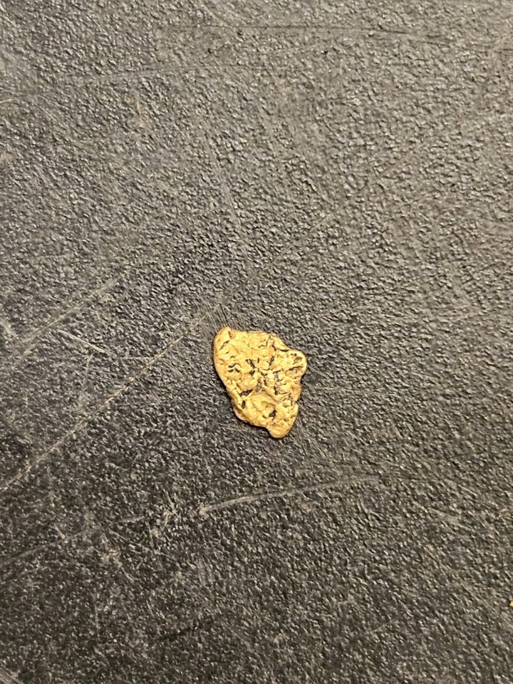 12 oz GOLD PAYDIRT unsearched + Added gold panning concentrates ...
