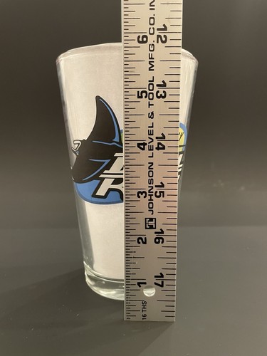 VINTAGE TAMPA BAY DEVIL RAYS BEER GLASS | eBay