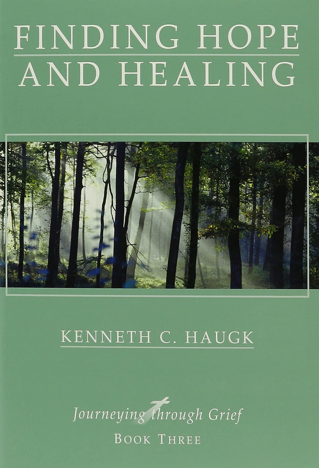 Journeying Through Grief (4-Book Set) Kenneth C. Haugk | eBay