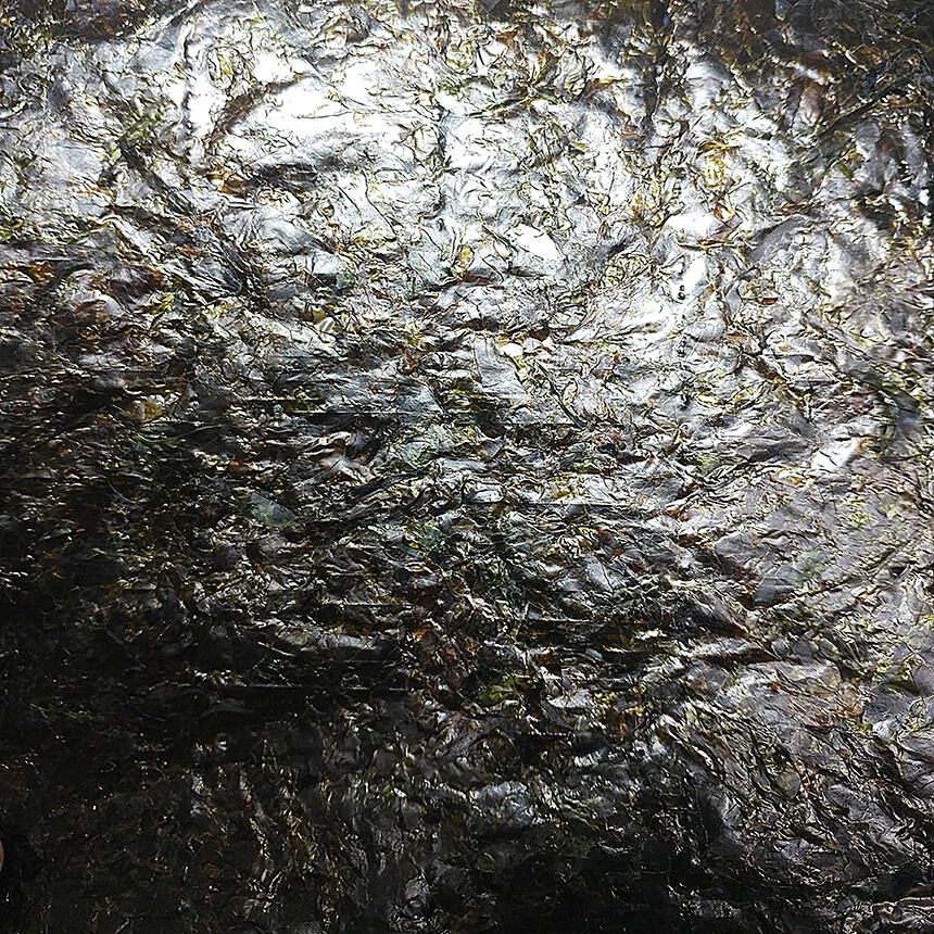 Dried Seaweed Texture