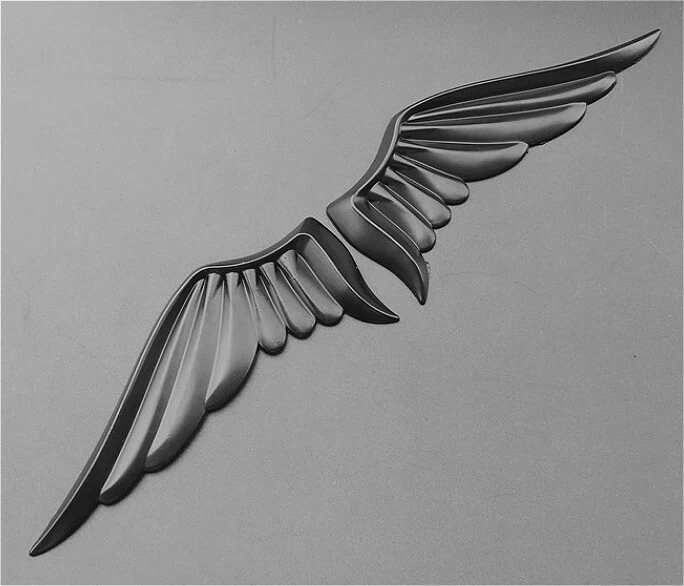 Metal Wings Drawing