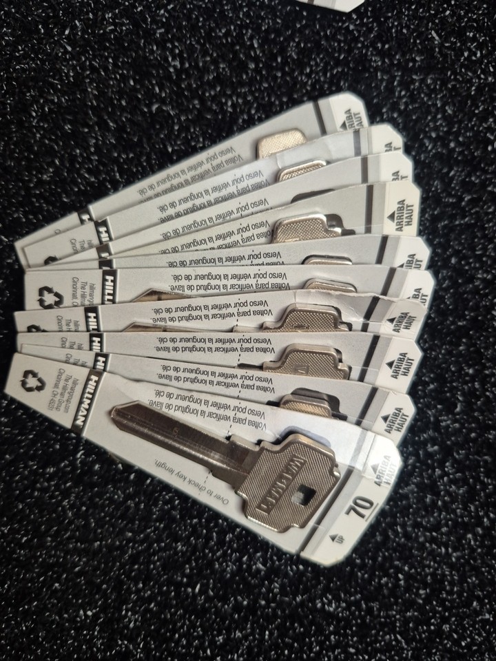 Locksmith 120 Key Blank Starter set Variety Pack 10x Of 12 common ...