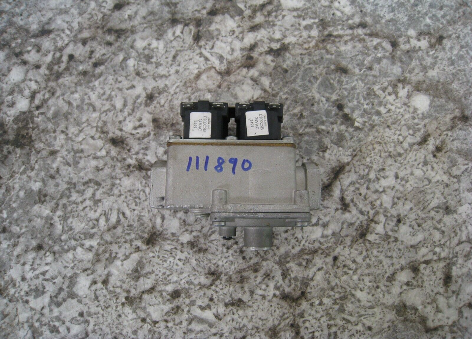 Cleveland Maxitrol 111890 S111890 CV300B2N0 Convection Steamer Gas ...