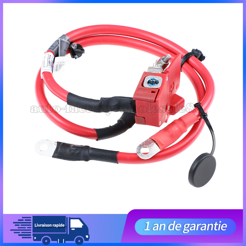 Câble Batterie Plus Positif Pôle Pour BMW 1er F20 2er F22 F23 F87 ...